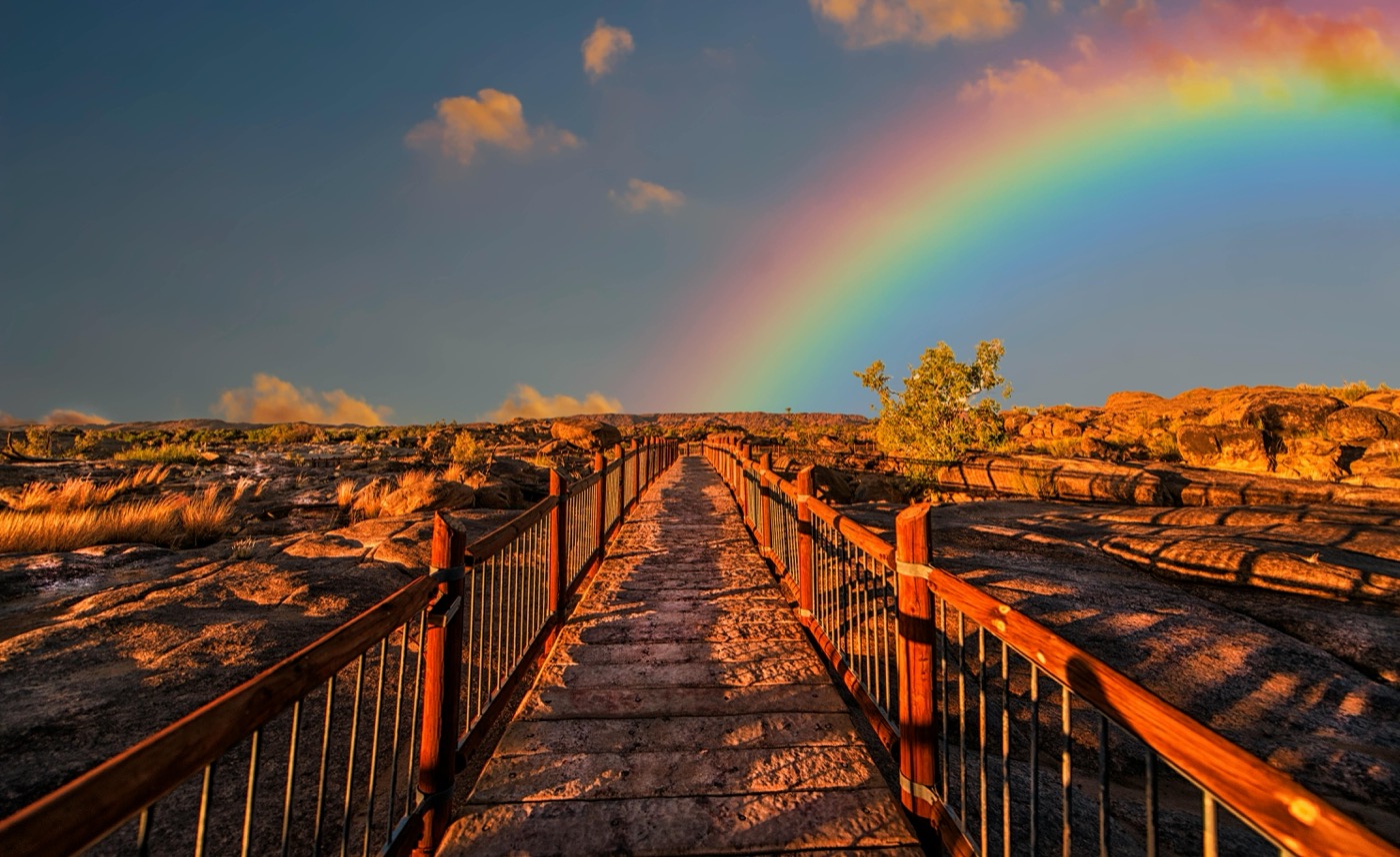 Announcements and bulletin for 5-11-25 - First Reformed Church